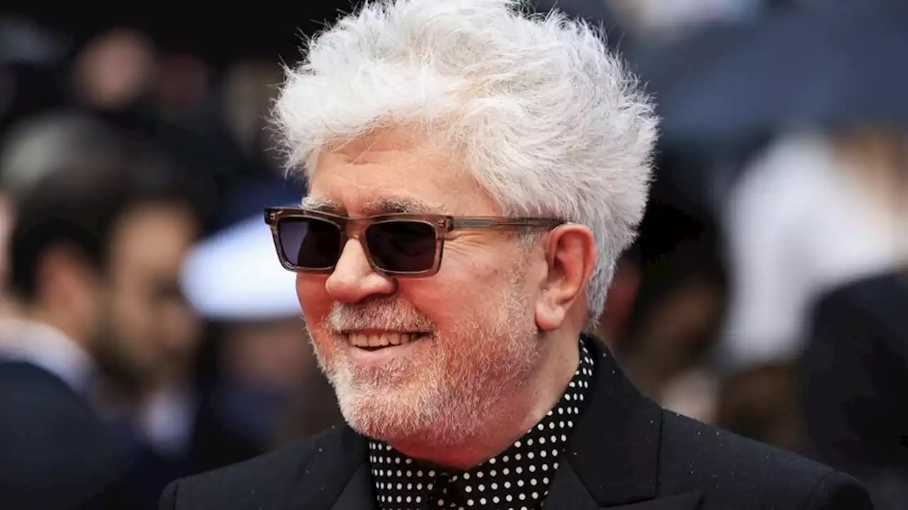 Almodóvar prepara su primera película en EEUU, afirma productora de El ...